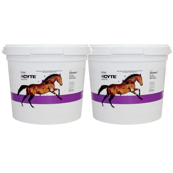 4Cyte Granules 2 X 700g | Horse Supplements – amacronequine-nz