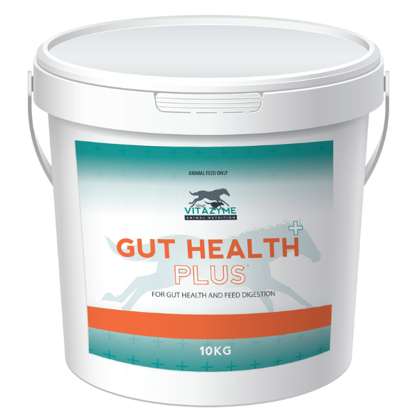 Gut Health Plus Pellets – amacronequine-nz