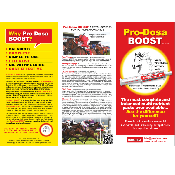 Pro-Dosa Boost Syringe (Carton of 12 Syringes) – amacronequine-nz